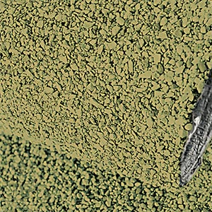 TECHNONICOL ENVIRO FOREST: Moss-Resistant Roofing & Waterproofing